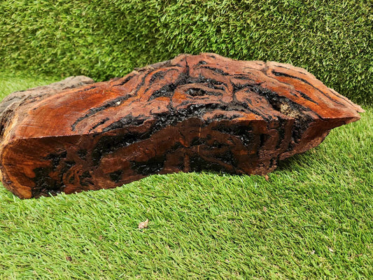 Burls – Pop's Shed