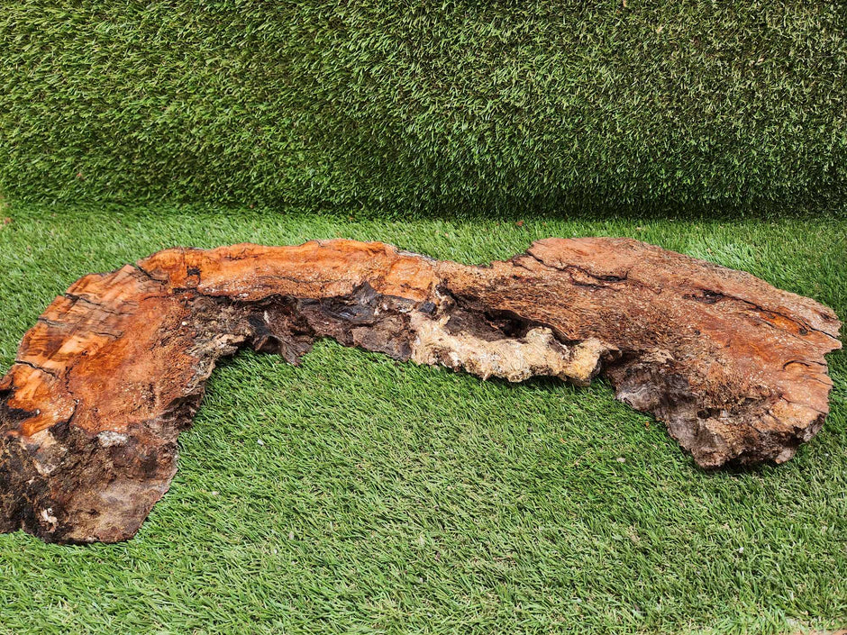 Burls – Pop's Shed